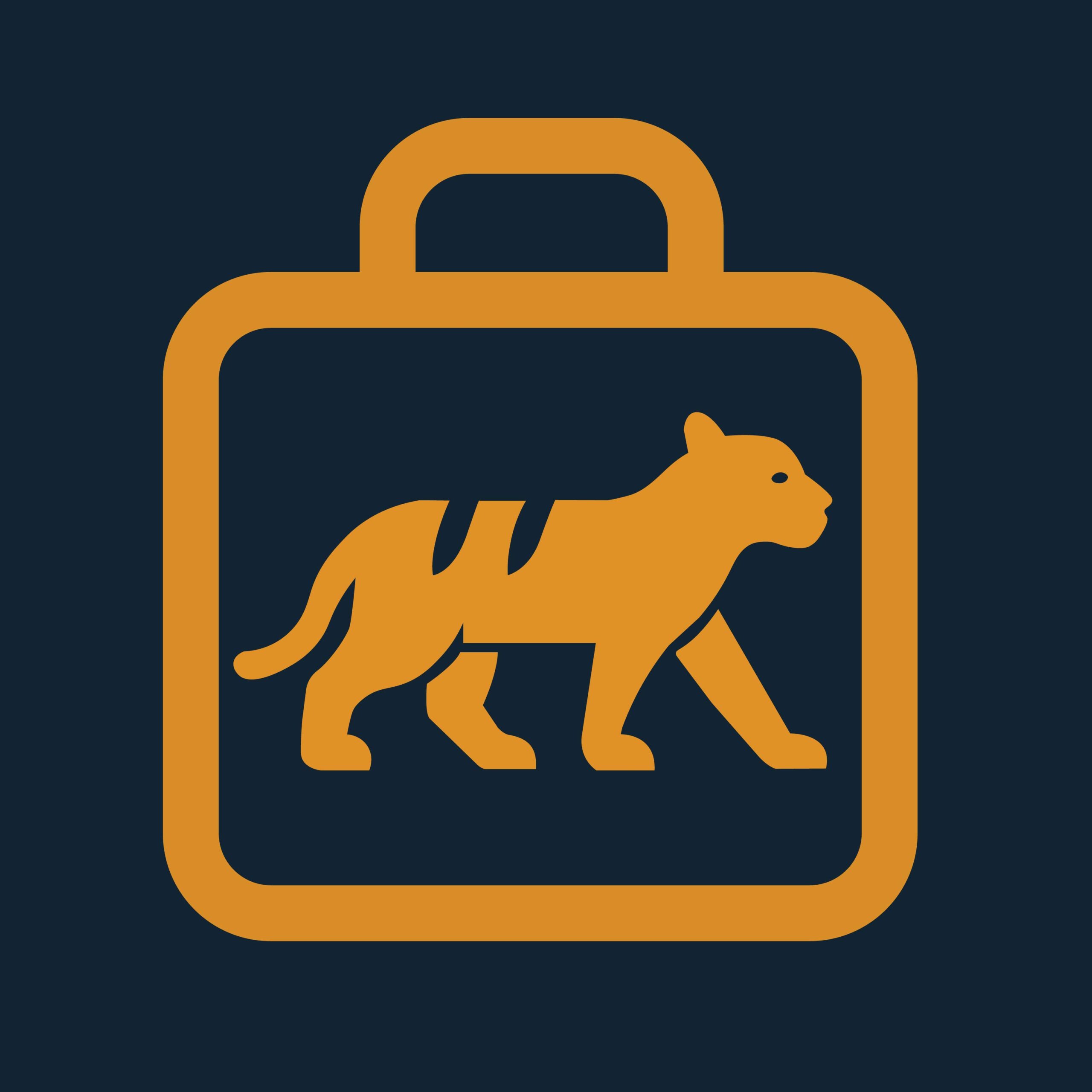 กระเป๋าเดินทางคุณภาพ ดีไซน์สวย ทนทาน - tigercarry.com